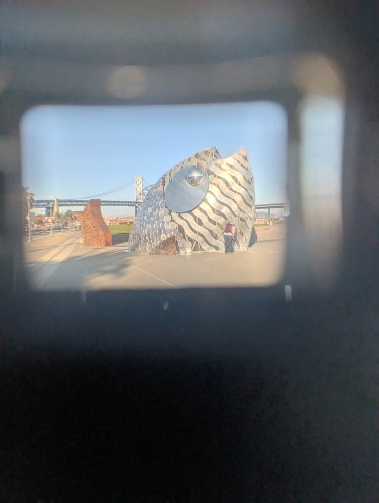 A DIY retro digital camera project - Blog #14 What you see, what you c